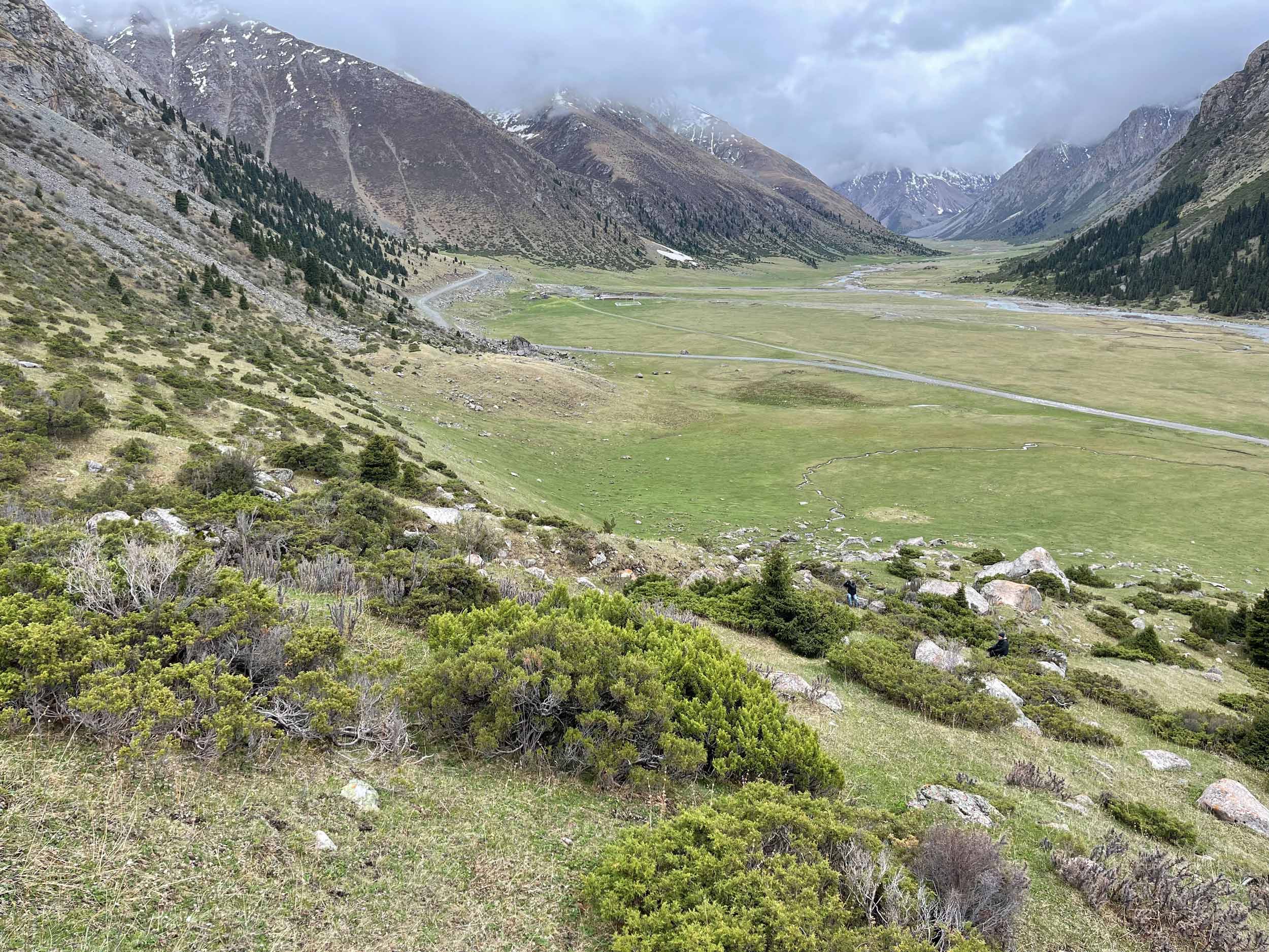 Spring migration in Central Asia | A unique birding adventure ...