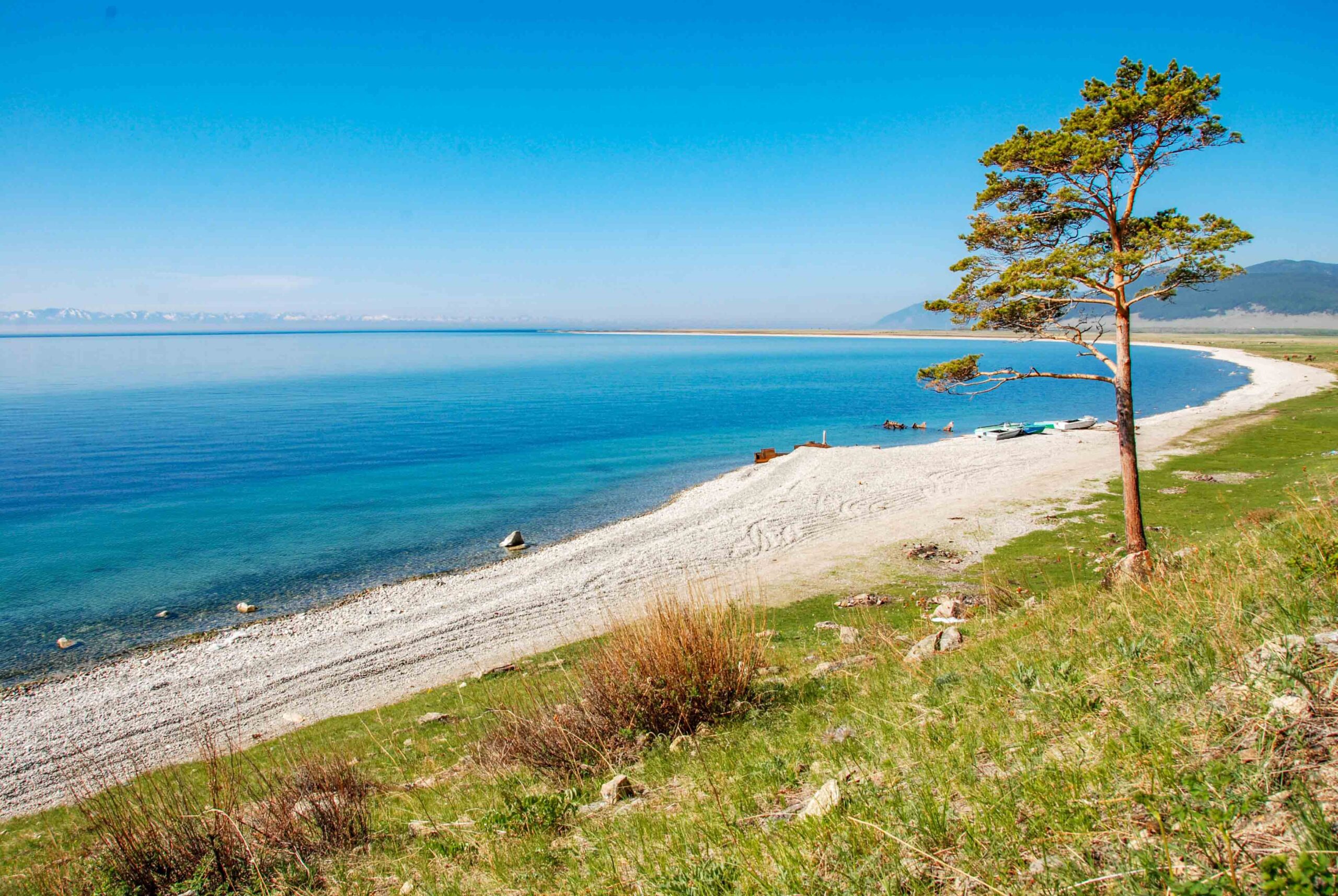 Ornithological expedition to Lake Baikal, the pearl of Siberia ...