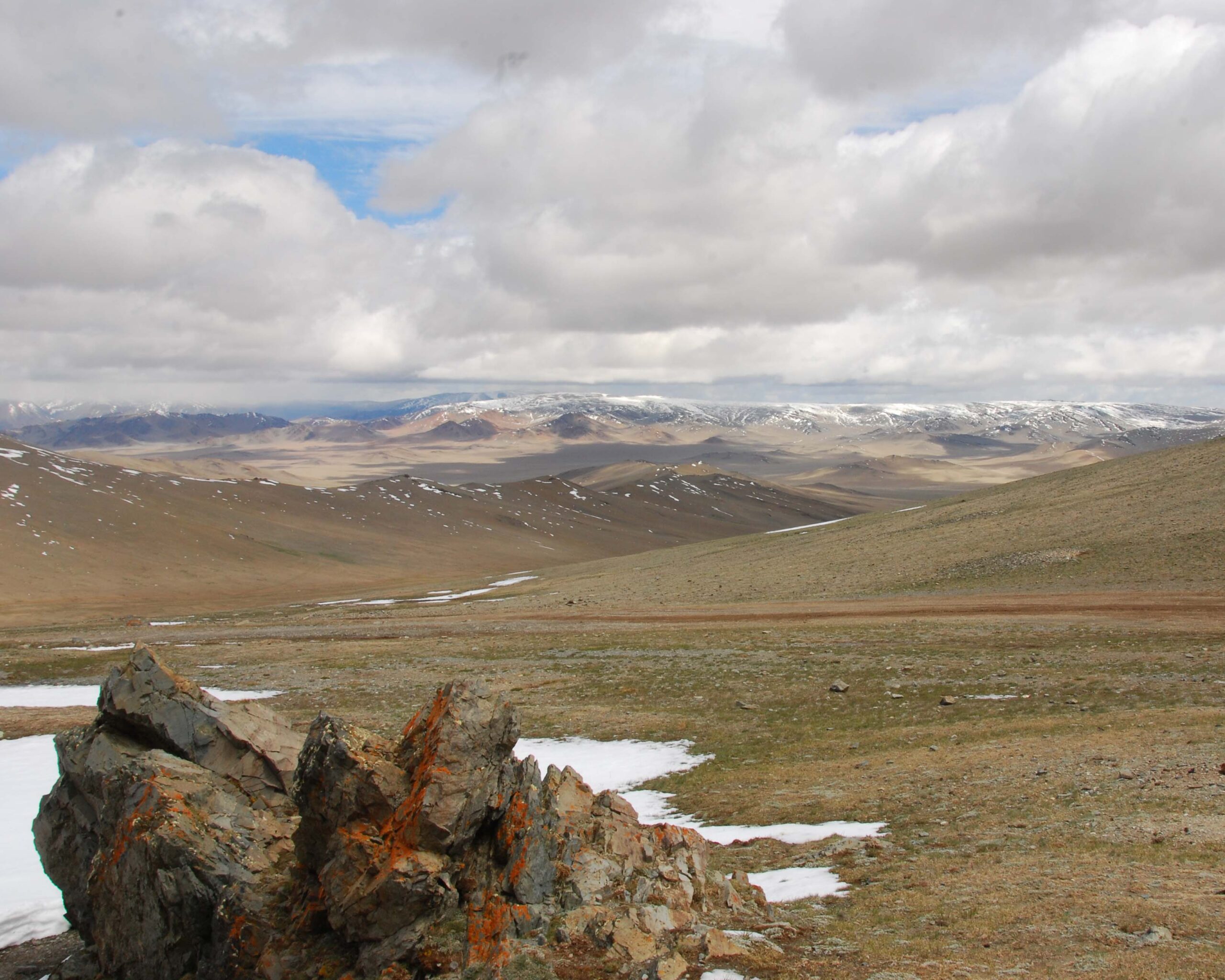 From Altai Snowcocks to Mongolian Ground-Jays | A birding tour in Altai ...